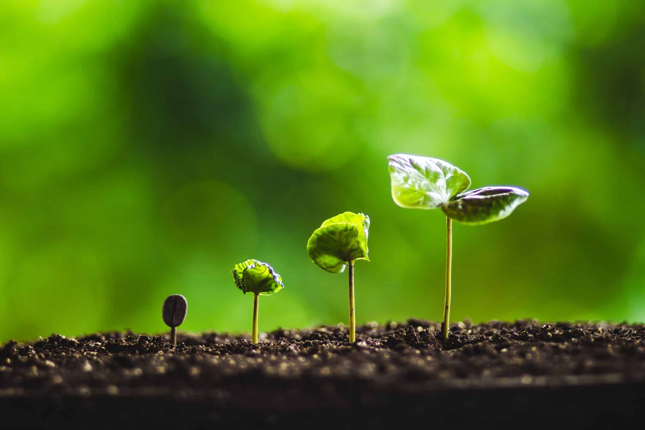 Are You Growing Or Shrinking Deborah MacDonald Leadership Are You Growing Or Shrinking Deborah MacDonald Leadership